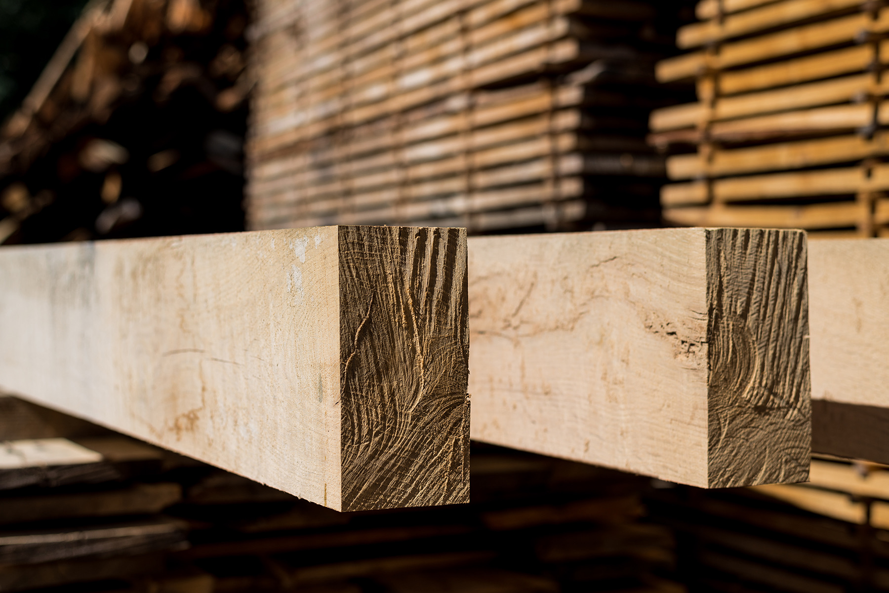 A comparison of British Timber: Oak, Chestnut and Ash as grown in the ...