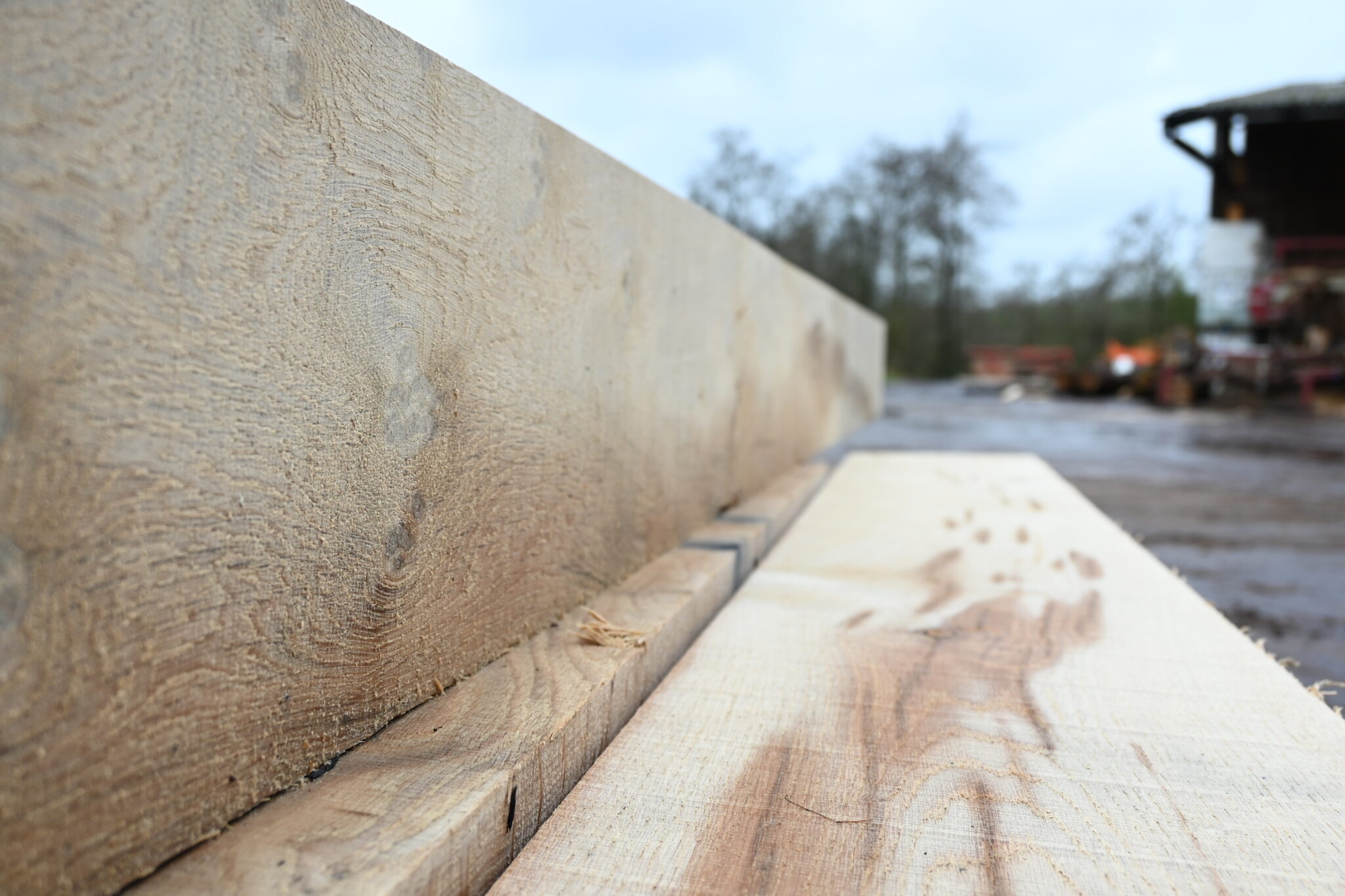 A comparison of British Timber: Oak, Chestnut and Ash as grown in the ...